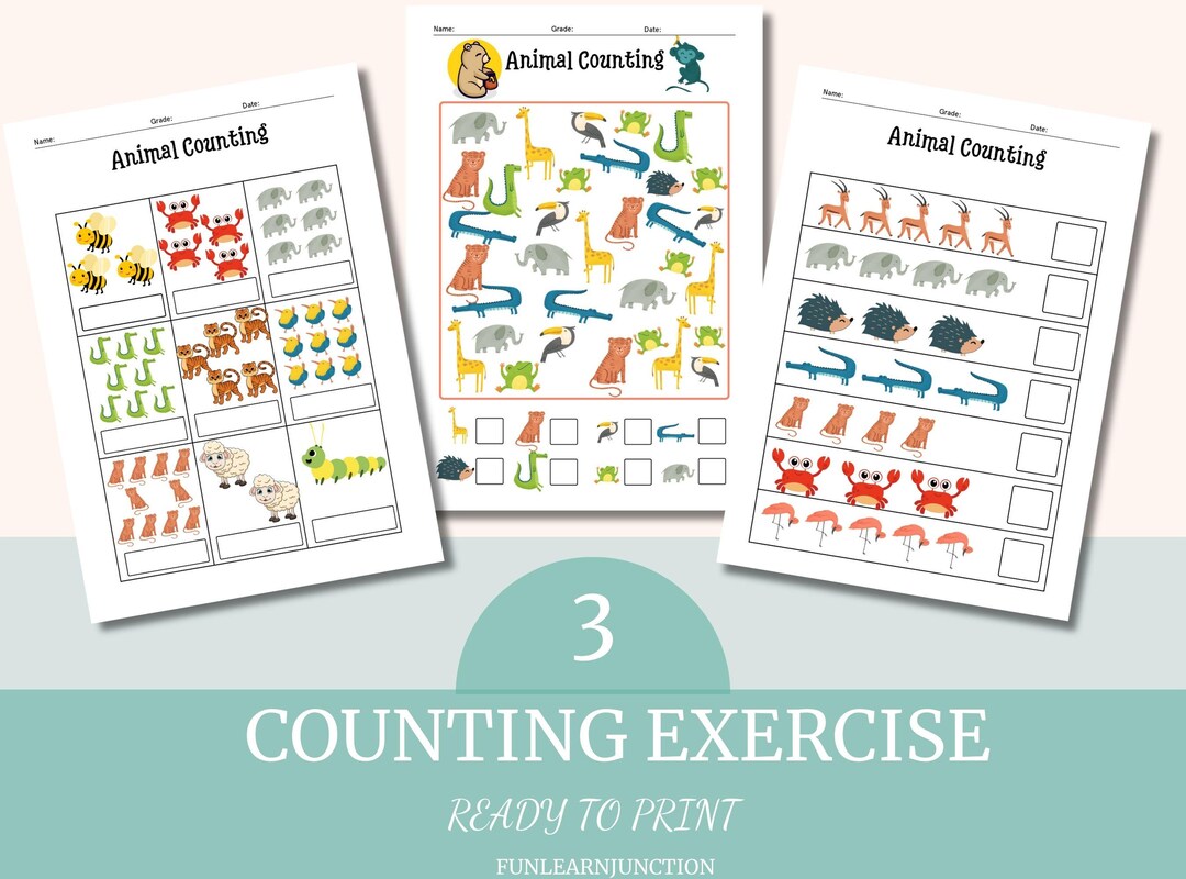 Animal Counting Worksheet: Preschool Math 3-page PDF (digital Download ...