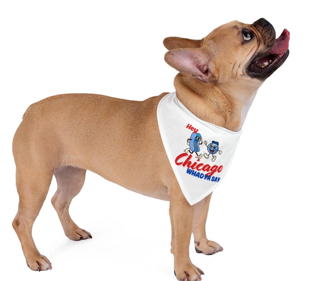 Chicago Cubs Pet Bandana, Baseball Dog Bandana, Hey Chicago Whadya Say ...