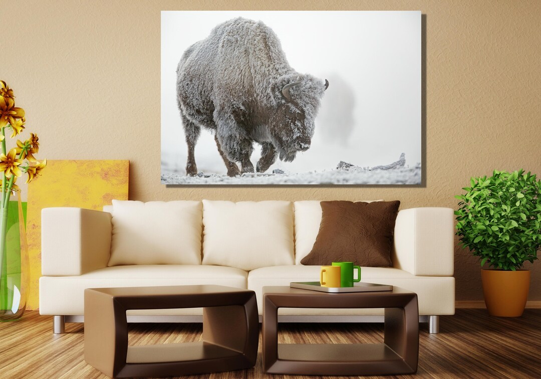American Buffalo in Snow Original Wall Art , Buffalo Pictures Art ...