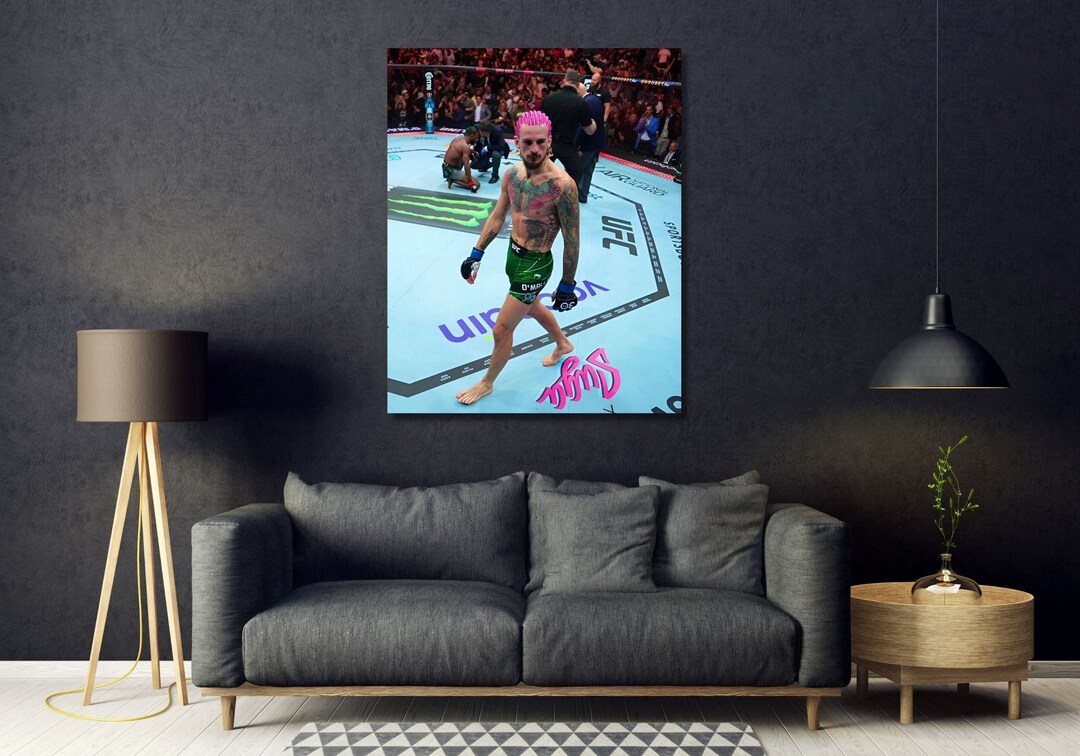Suga Sean O'malley KO Ready to Hang Canvas Wall Art / Poster / Over ...