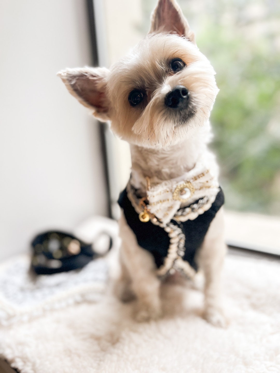 Handmade Tweed Dog Jacket - Etsy