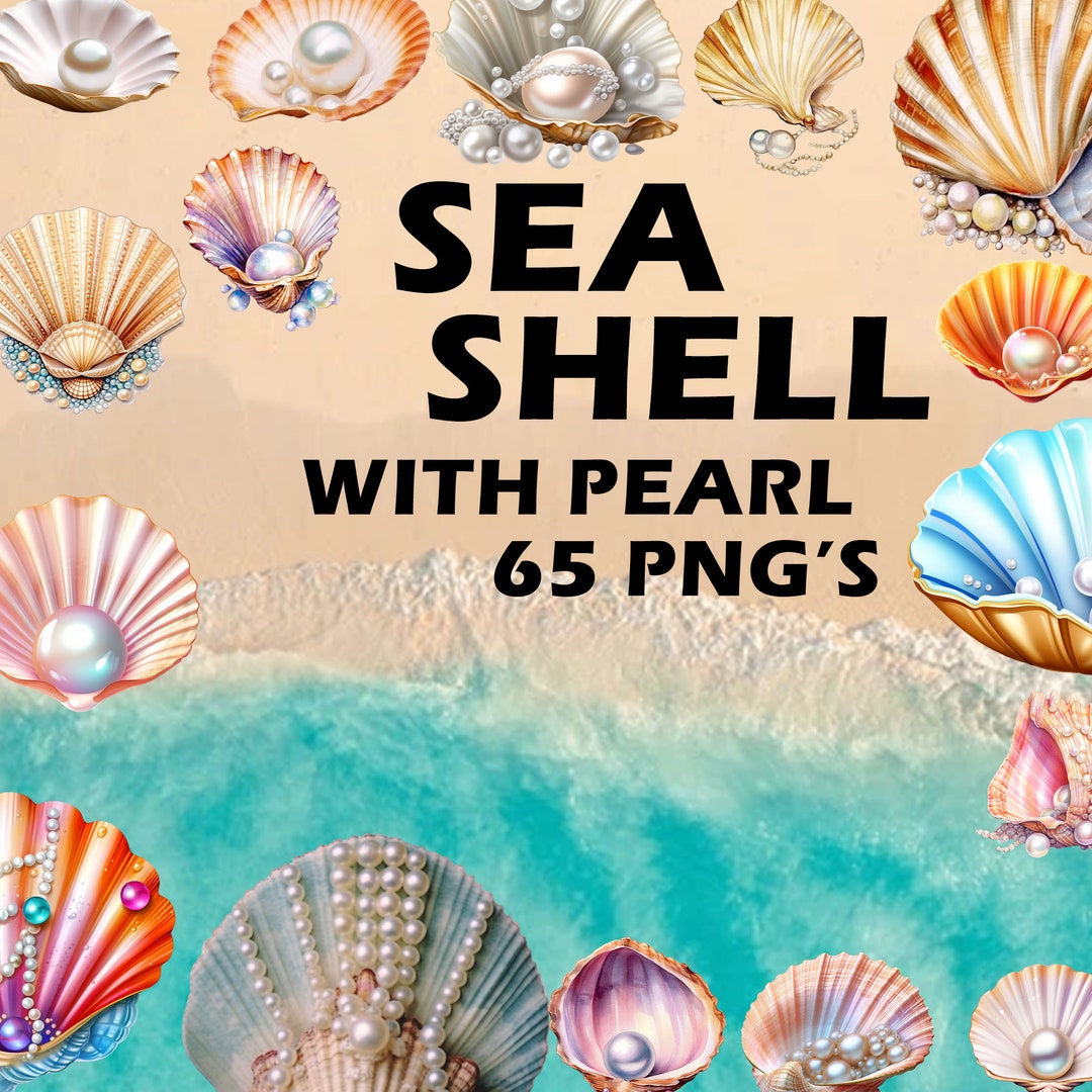 Sea Shells With Pearl Sticker, Seashell Clipart, Printable Watercolor ...