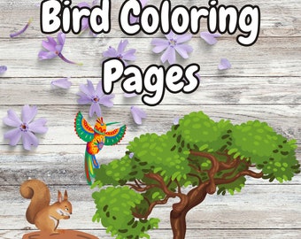 20 Bird-themed Coloring Pages - Etsy