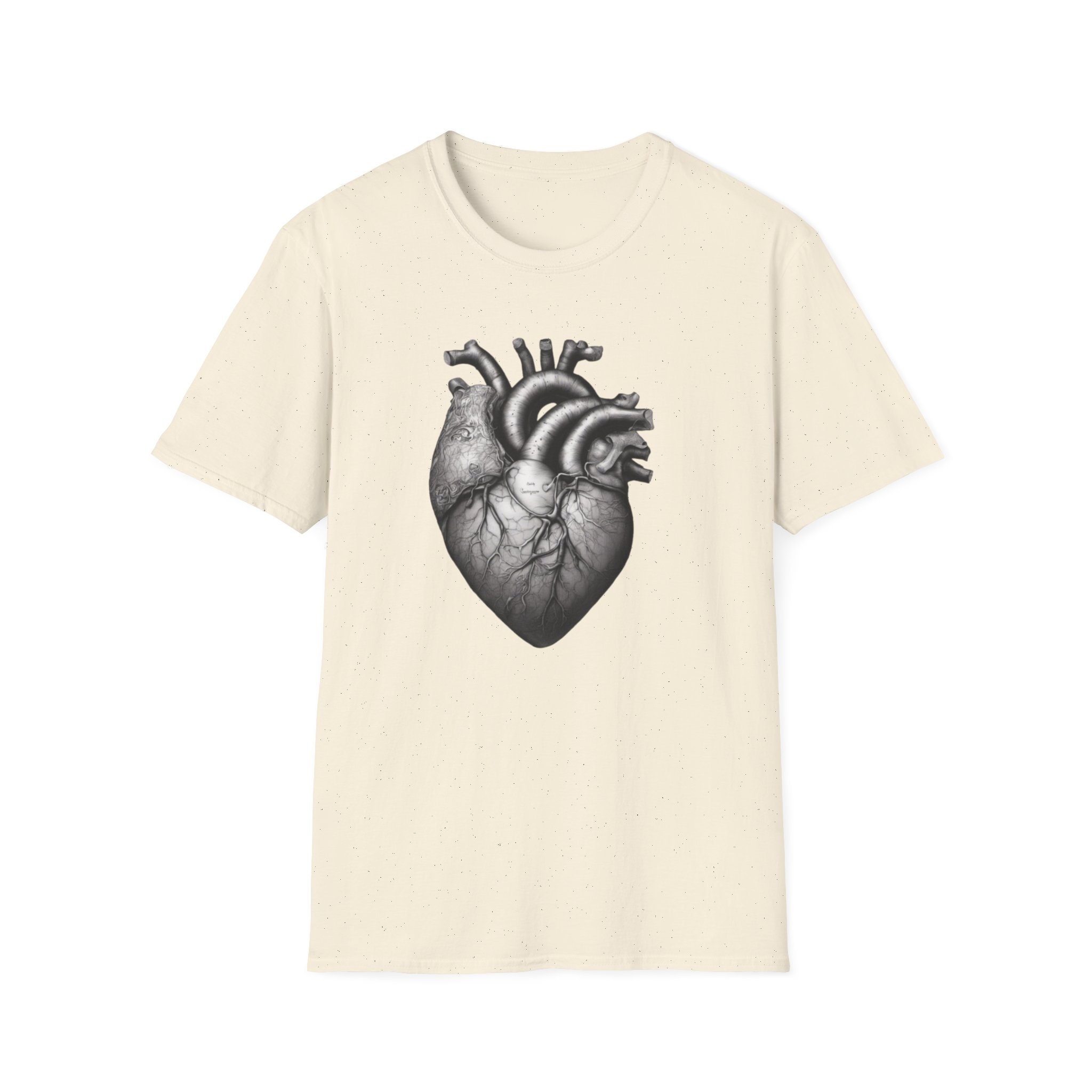 Anatomical Heart Shirt Diagram - Etsy
