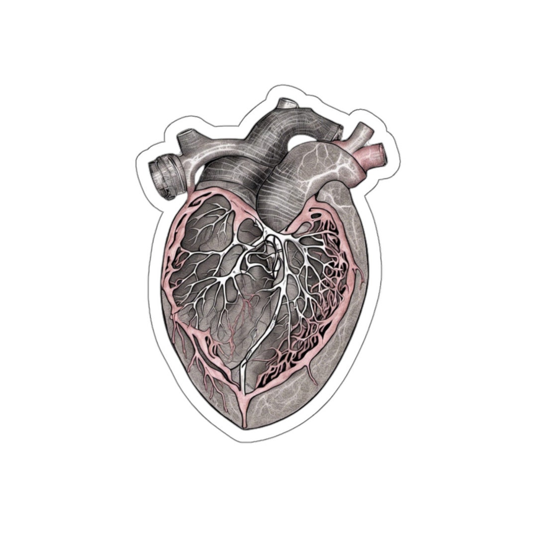 Heart Arteries - Die-cut Stickers - Etsy