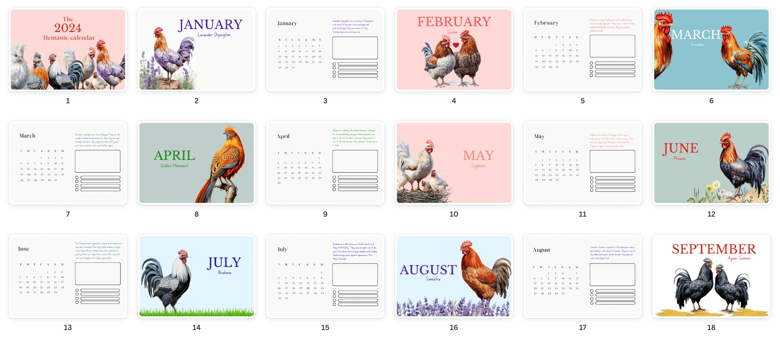 2024 Printable Chicken Calendar 2024 Monthly Wall Calendar A4 Size ...