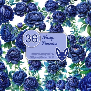 Navy Peonies in Watercolor PNG With Transparent Background Instant ...