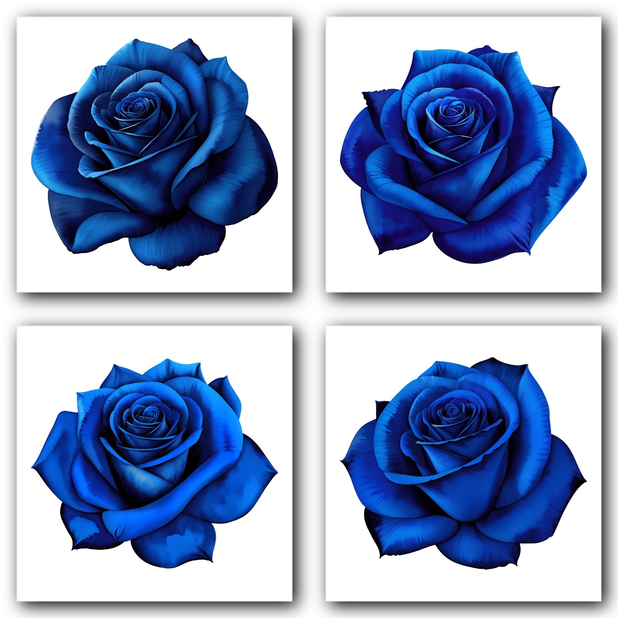 DIY - 5x7" Royal Blue Rose & Silver Leaves Overlays Set | 32 Pngs ...