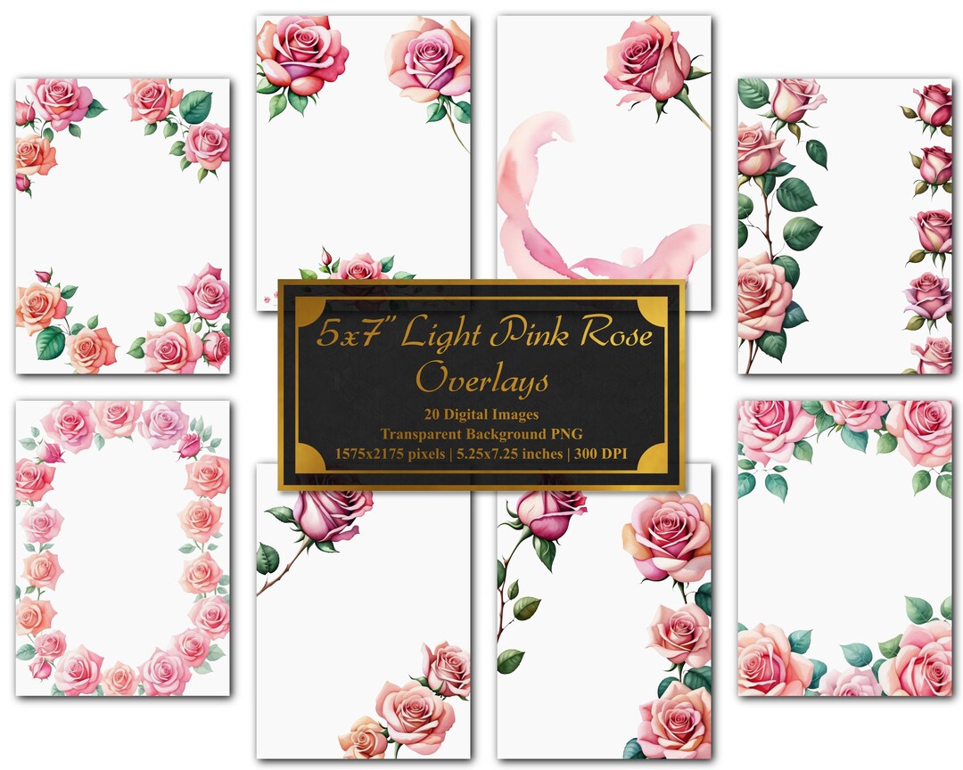 5x7 Light Pink Rose Overlays Set 20 Pngs Transparent Background Instant ...