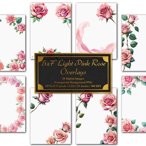 5x7 Light Pink Rose Overlays Set 20 Pngs Transparent Background Instant ...
