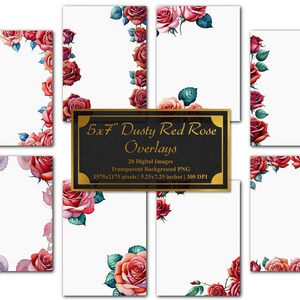 5x7 Dusty Red Rose Overlays Set 20 Pngs Transparent Background Instant ...
