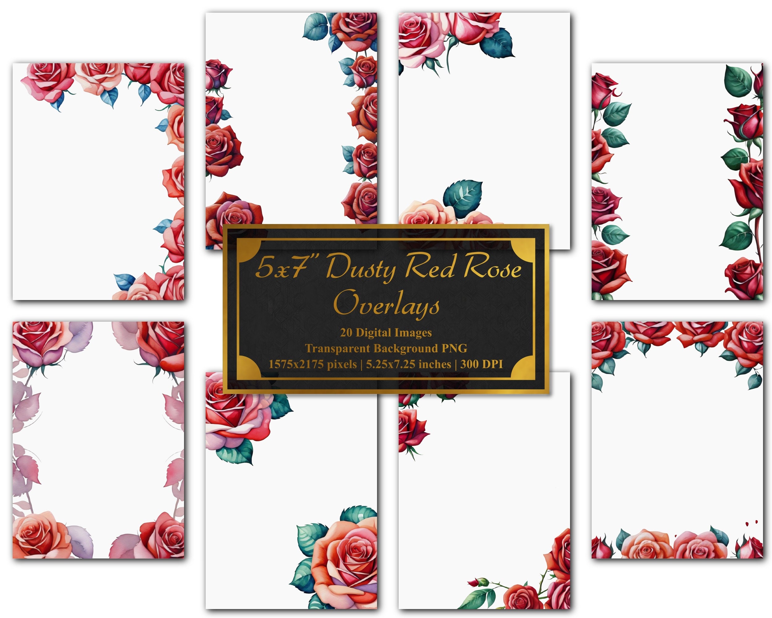 5x7 Dusty Red Rose Overlays Set 20 Pngs Transparent Background Instant ...