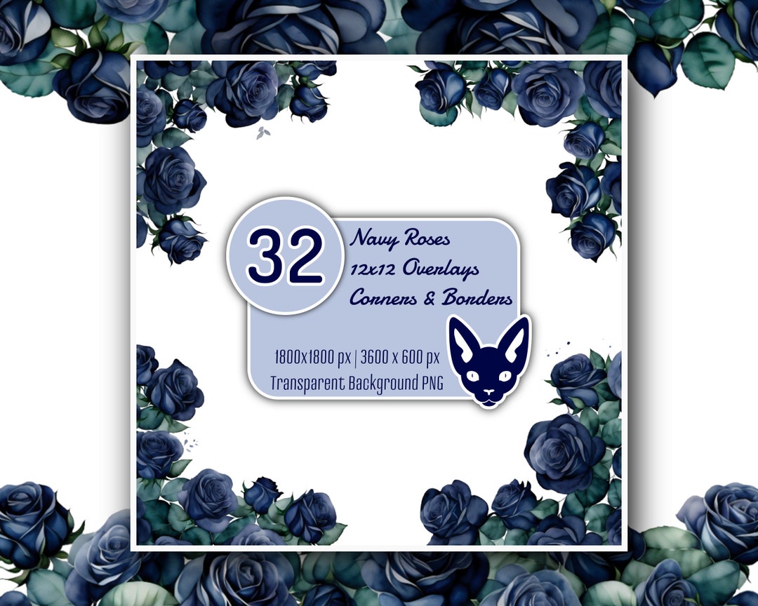 12x12" Navy Rose Overlays Set | PNG With Transparent Background ...