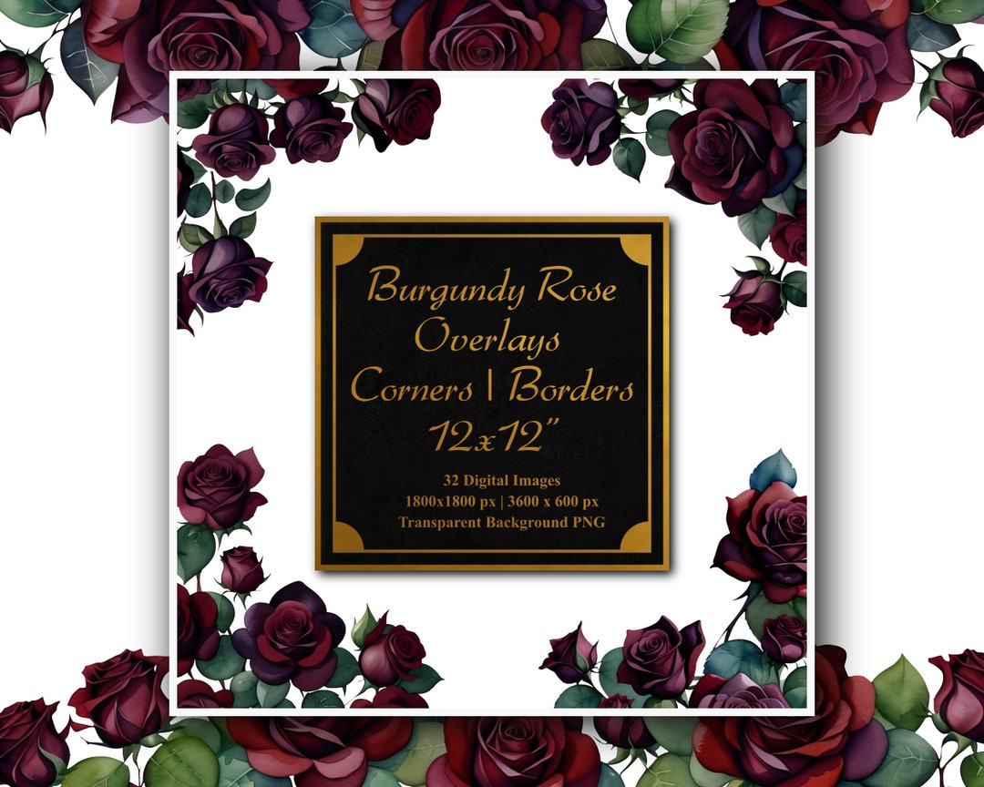 12x12 Burgundy Rose Overlays Transparent Background Instant Download ...