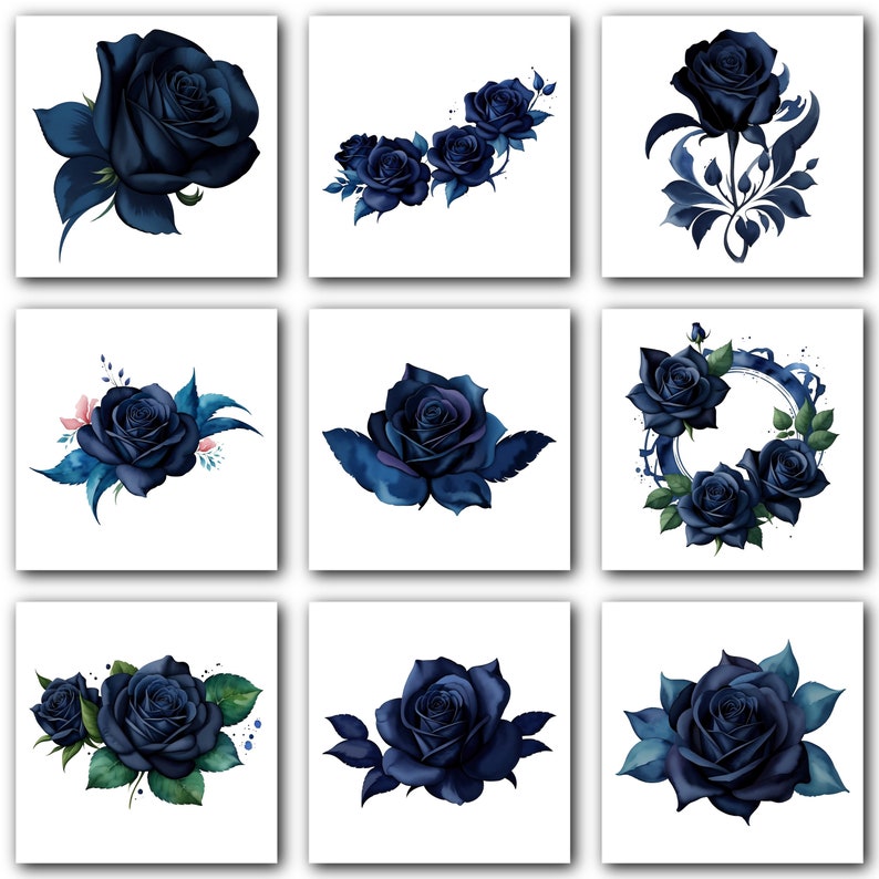 Navy Roses in Watercolor | PNG With Transparent Background | Instant ...