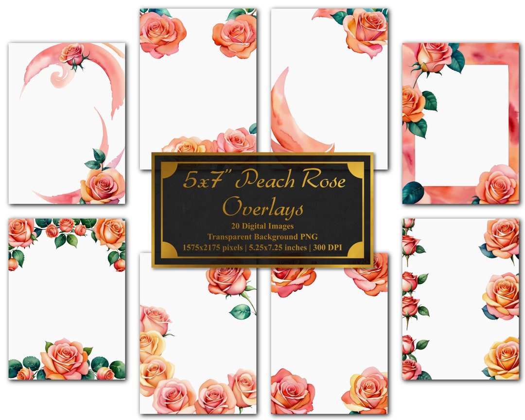 5x7 Peach Rose Overlays Set 20 Pngs Transparent Background Instant ...