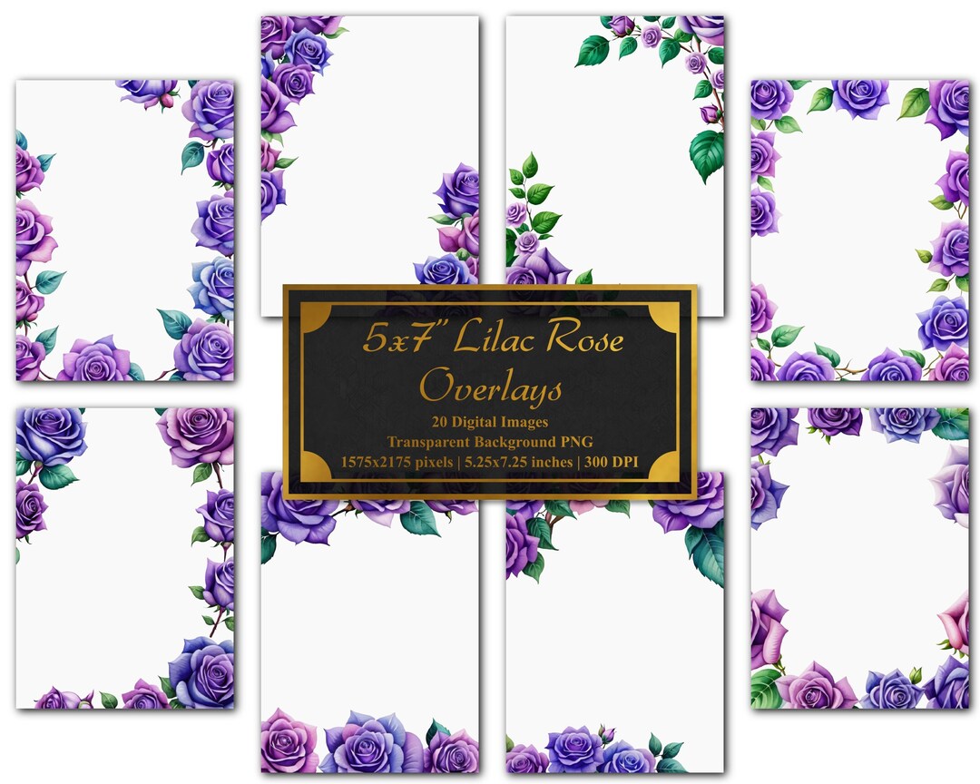 5x7 Lilac Rose Overlays Set 20 Pngs Transparent Background Instant ...