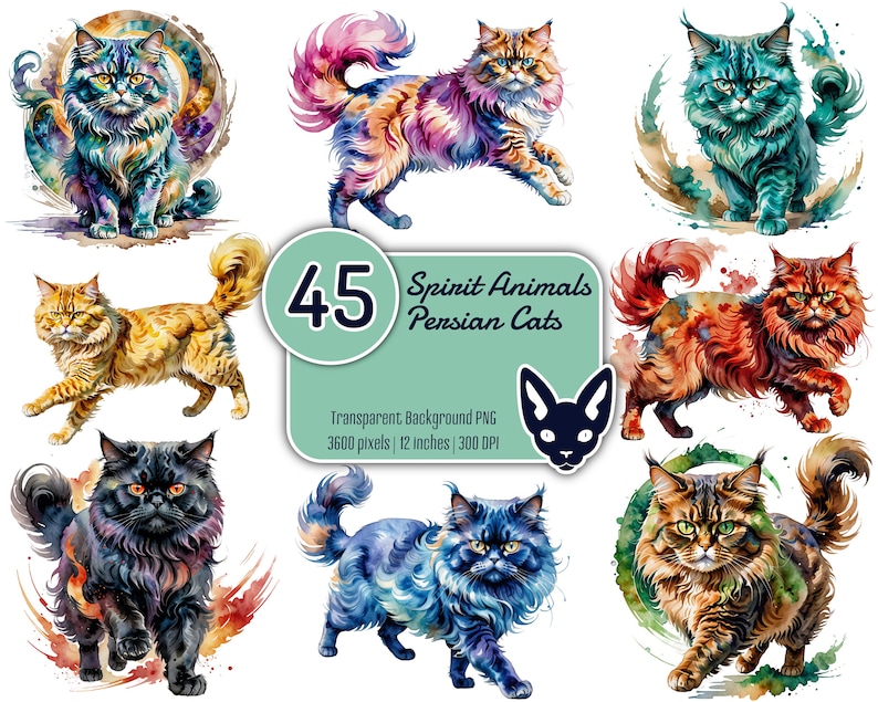 Spirit Animals - Persian Cats | 45 Pngs With Transparent Background ...