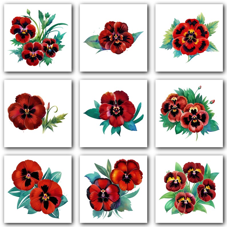 Red Pansies in Watercolor | PNG With Transparent Background | Instant ...
