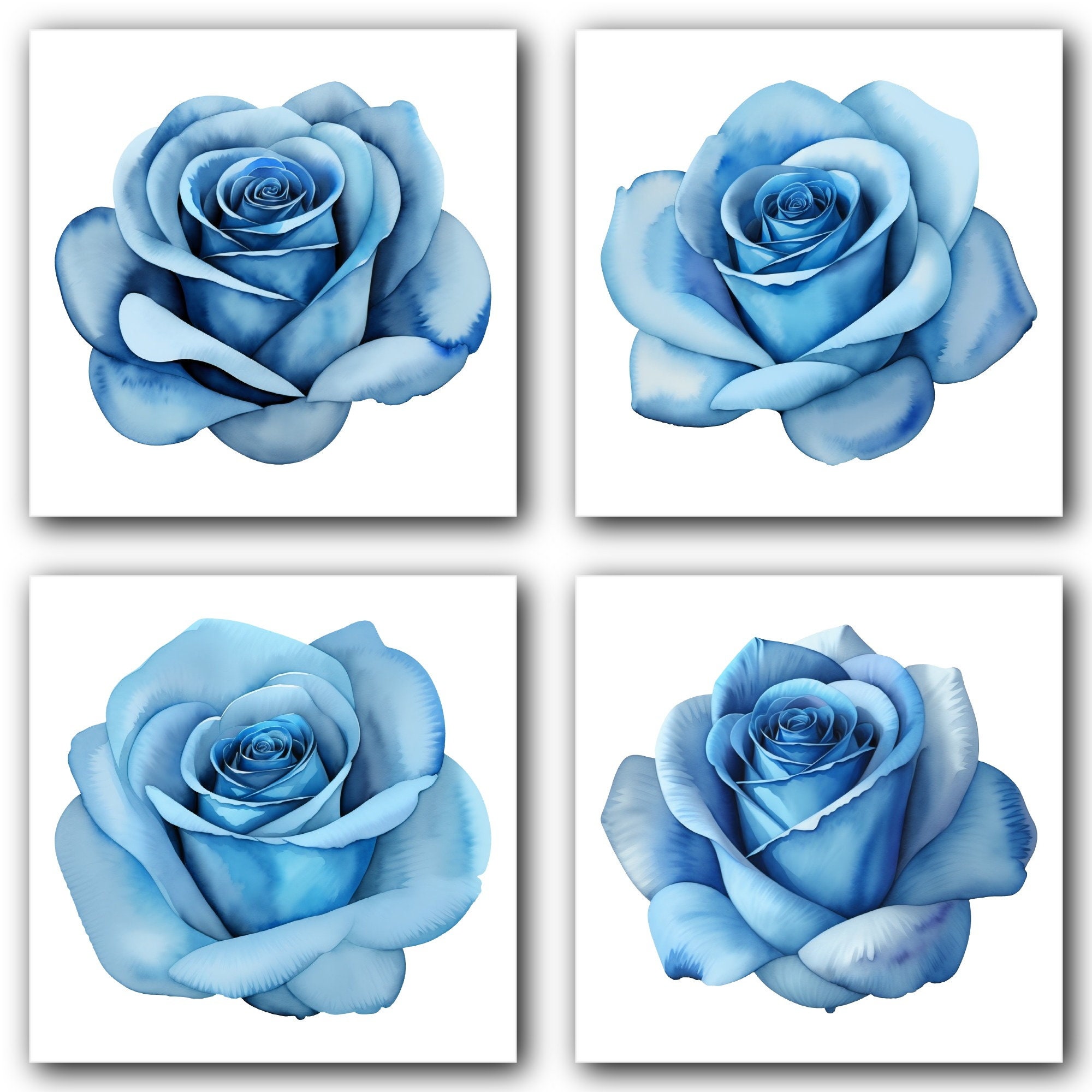 DIY 5x7" Baby Blue Rose & Silver Leaves Overlays Set | 32 Pngs ...
