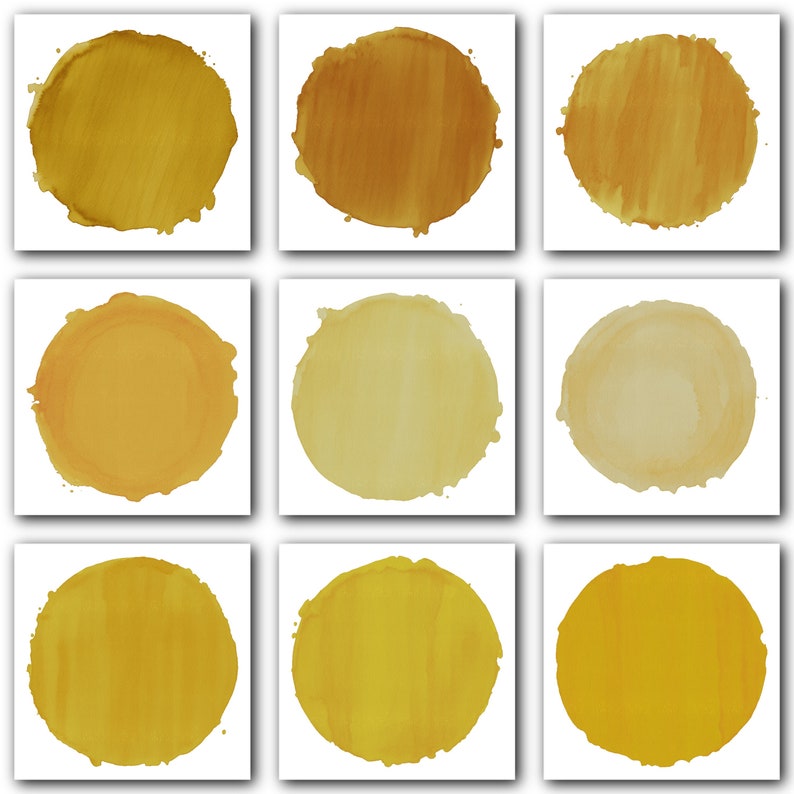 Watercolor Circles Hues of Yellow 36 Pngs Clip Art Set Transparent ...