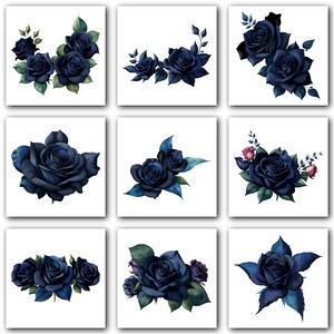 Navy Roses in Watercolor | PNG With Transparent Background | Instant ...