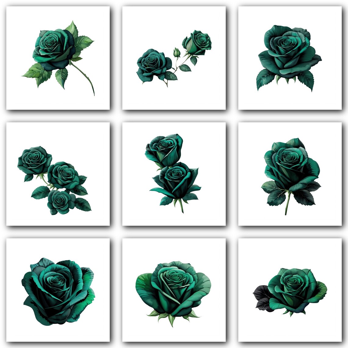 Emerald Roses Watercolor Clipart: 36 PNG Floral Designs (digital ...