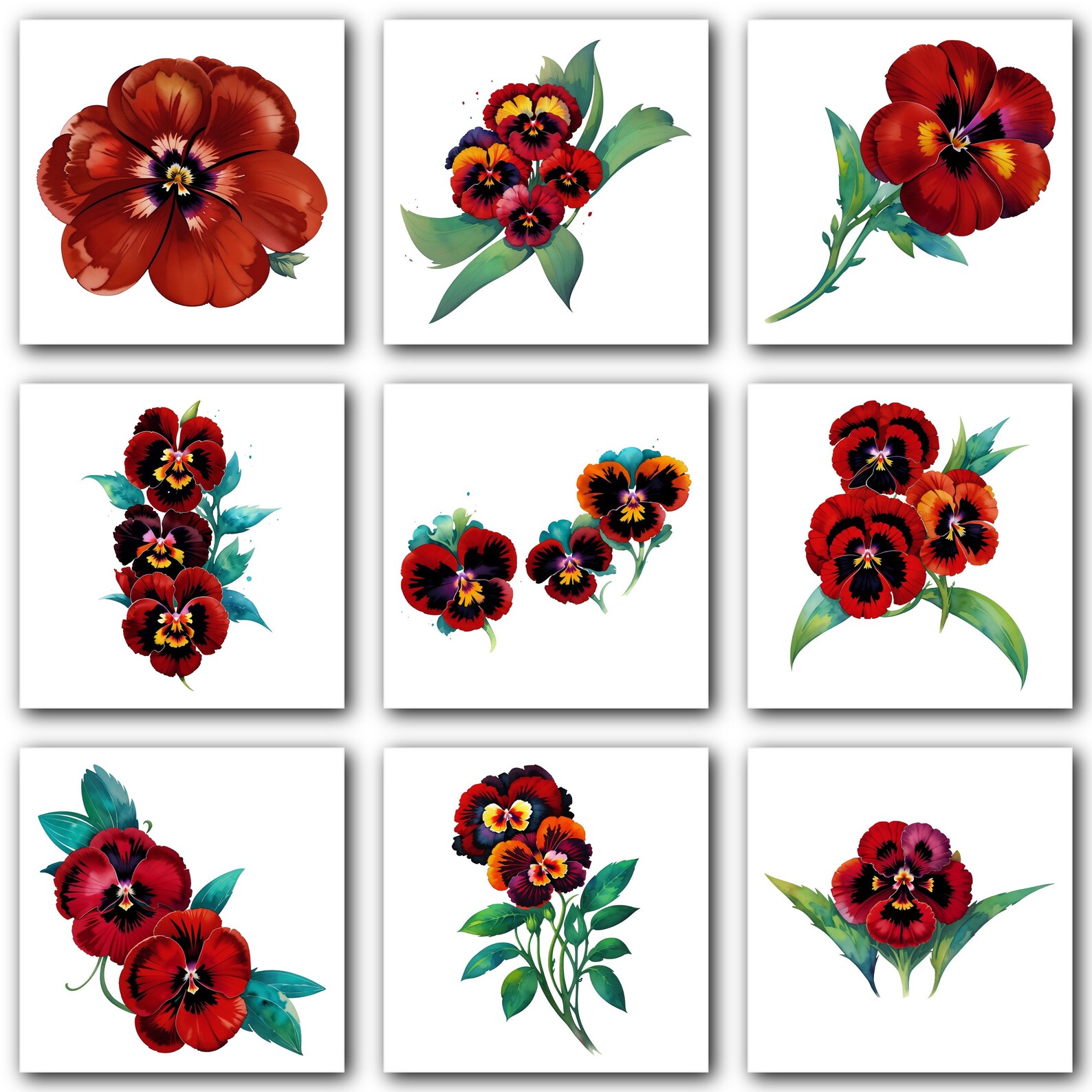 Red Pansies in Watercolor | PNG With Transparent Background | Instant ...