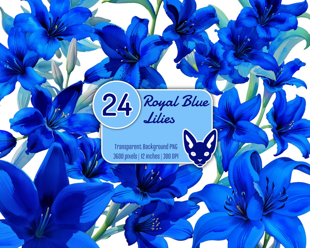 Royal Blue Lily Watercolor Clipart: Transparent PNG Set (digital ...