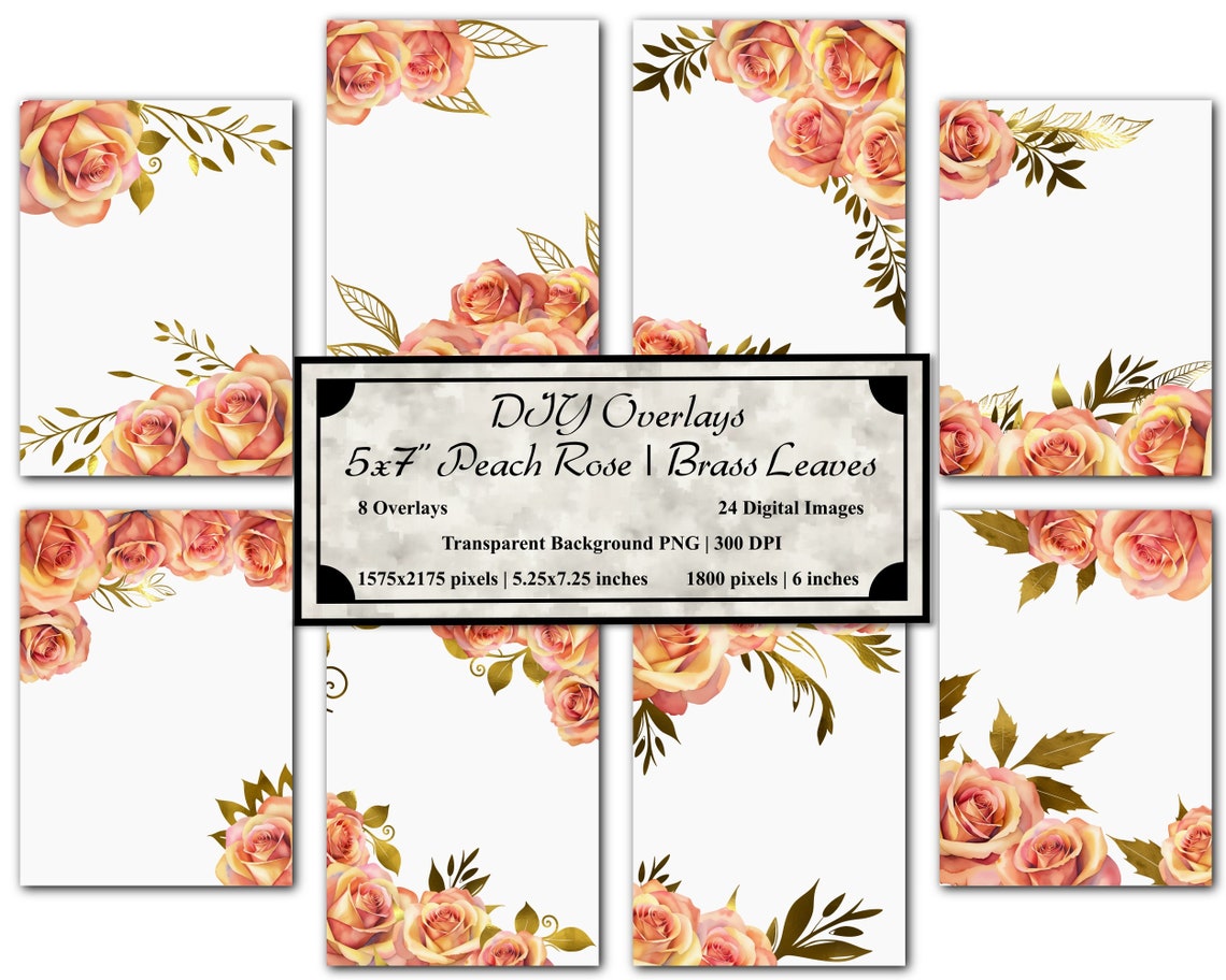 DIY 5x7 Peach Rose & Brass Leaves Overlays Set 32 Pngs Transparent ...