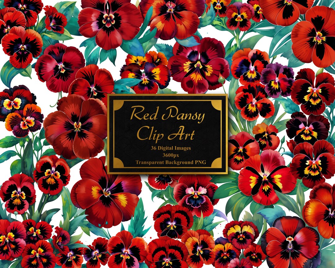 Red Pansies in Watercolor PNG With Transparent Background Instant ...