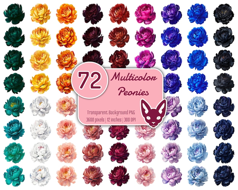 Multicolor Peony in Watercolor | PNG With Transparent Background ...