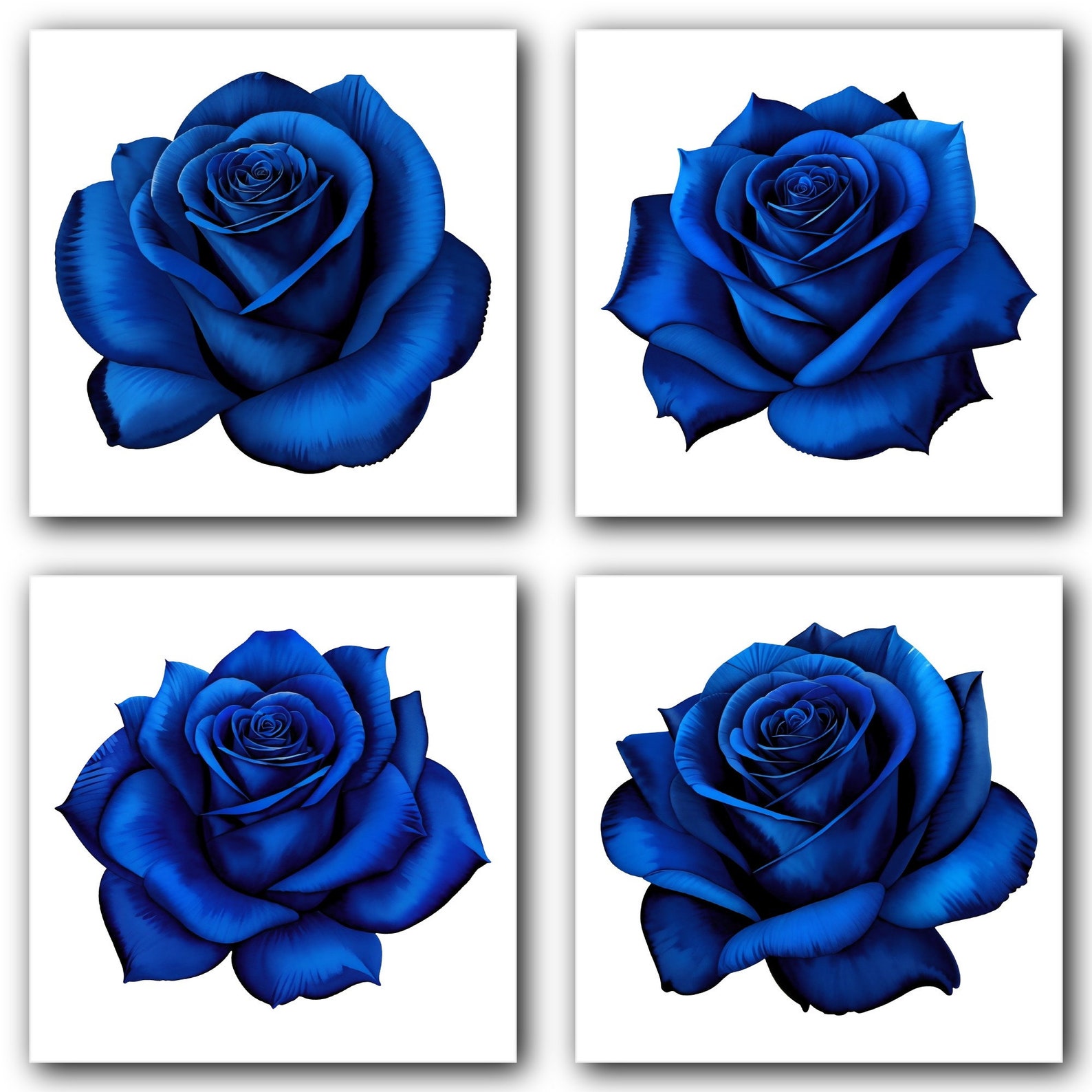 DIY - 5x7" Royal Blue Rose & Silver Leaves Overlays Set | 32 Pngs ...
