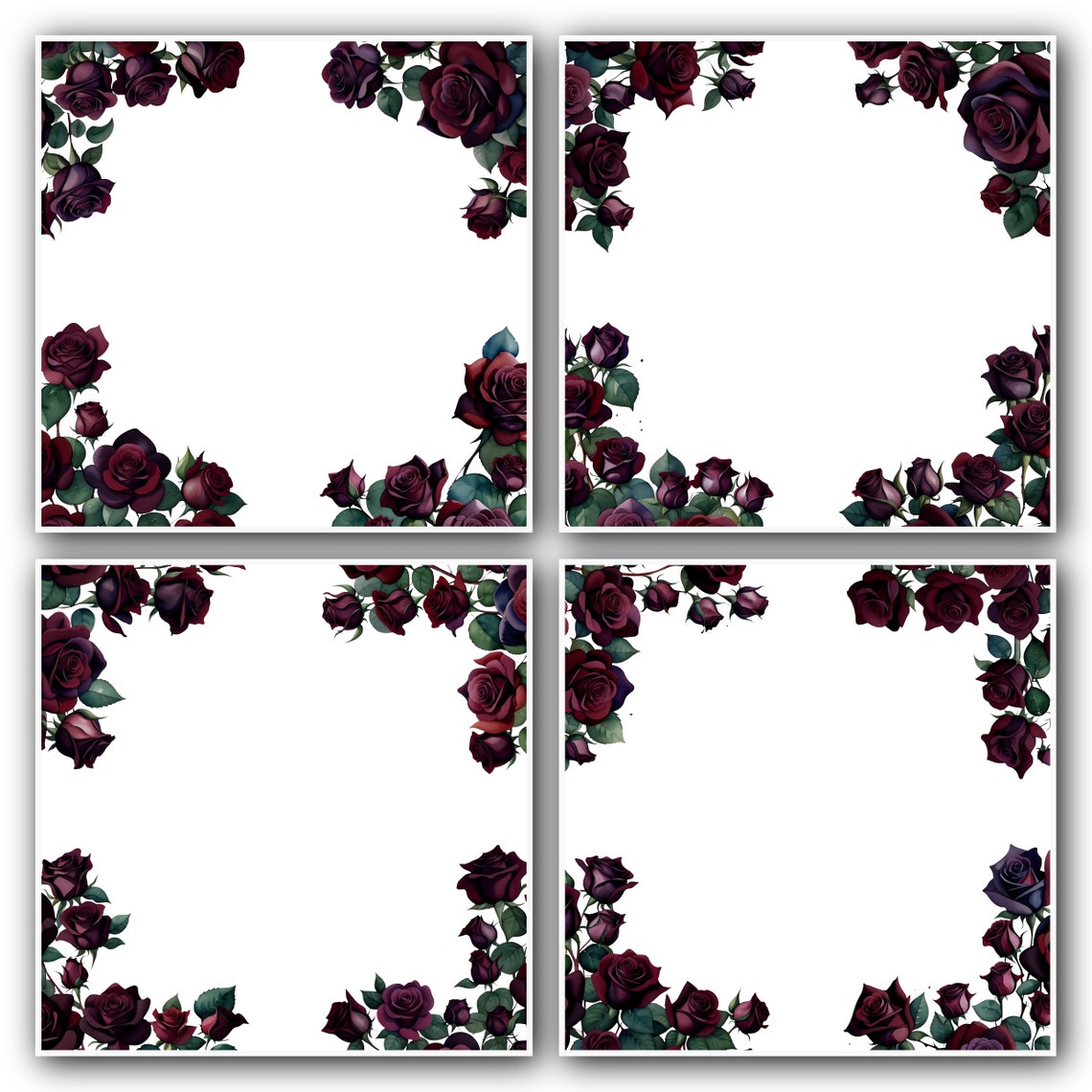 12x12" Burgundy Rose Overlays | Transparent Background | Instant ...