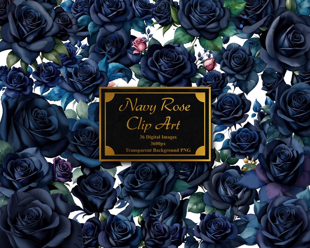 Navy Roses in Watercolor PNG With Transparent Background Instant ...