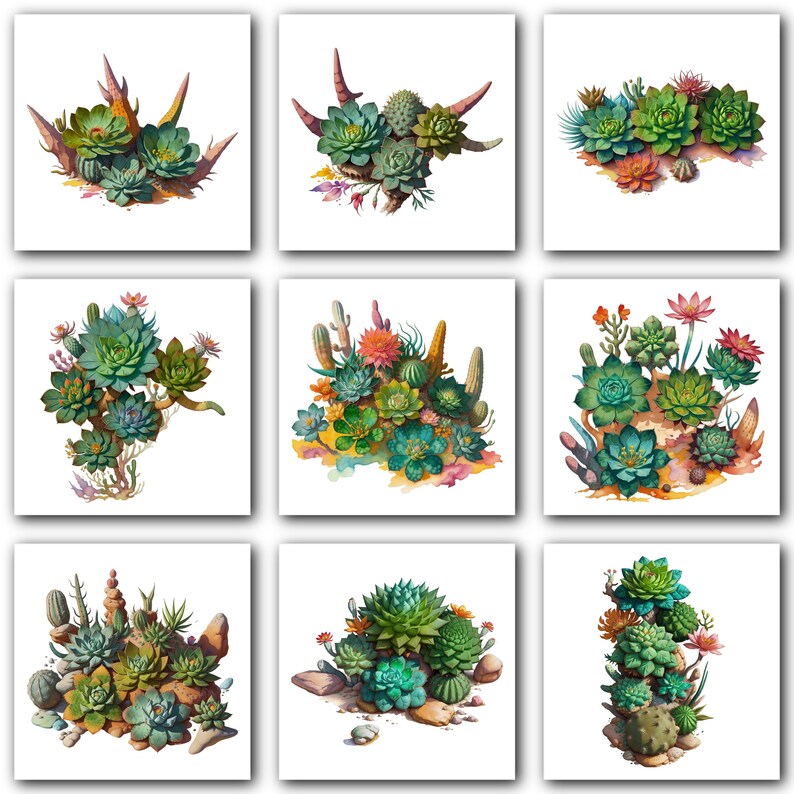 Desert Flowers & Cacti in Watercolor | PNG With Transparent Background ...