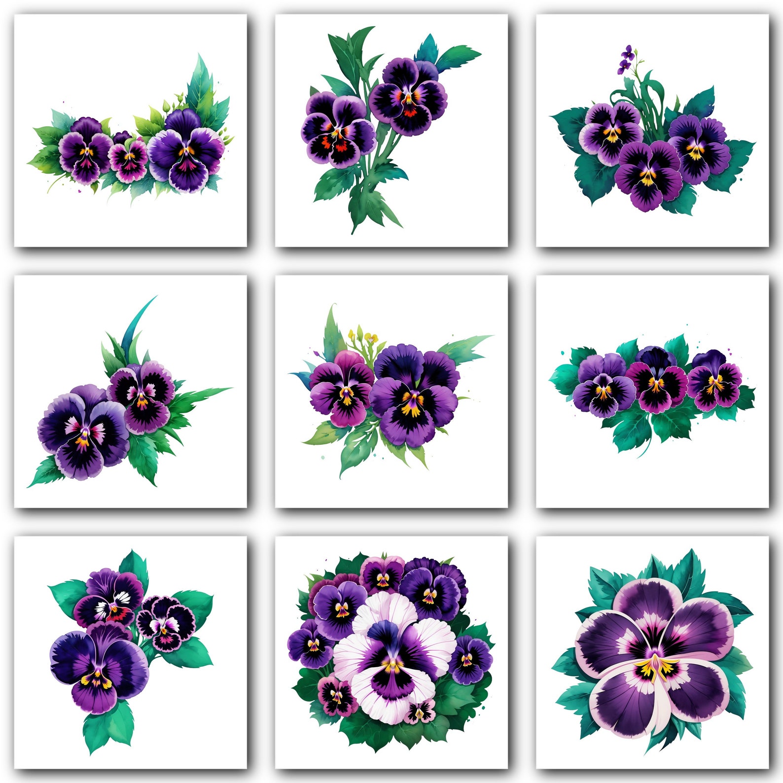 Watercolor Violet Pansies Clipart: 36 PNG Floral Graphics (digital ...