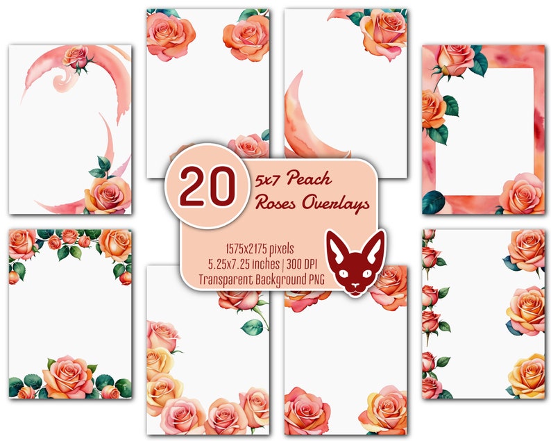 5x7" Peach Rose Overlays Set | 20 Pngs | Transparent Background ...