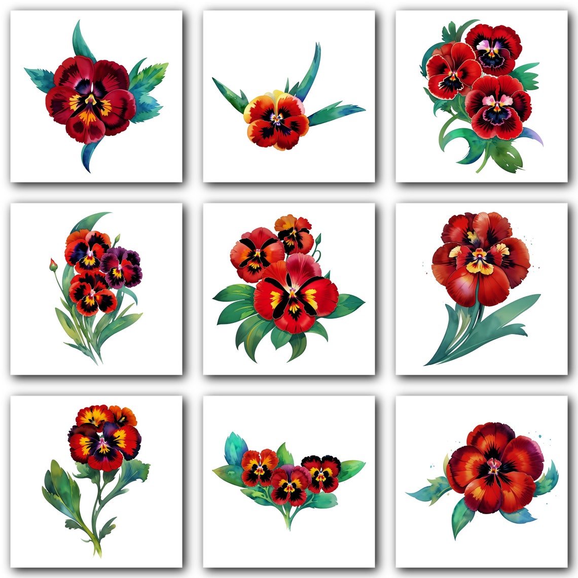Red Pansies in Watercolor | PNG With Transparent Background | Instant ...