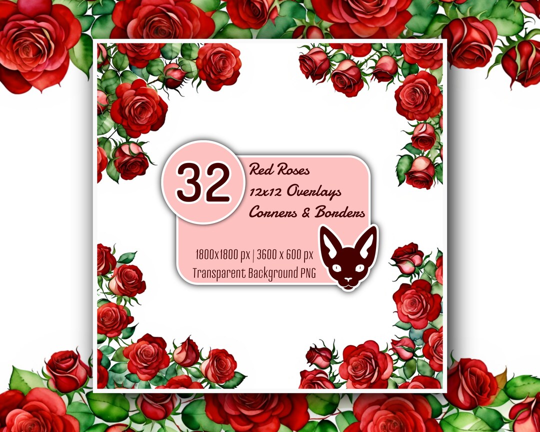 12x12 Red Rose Overlays Set PNG With Transparent Background Instant ...