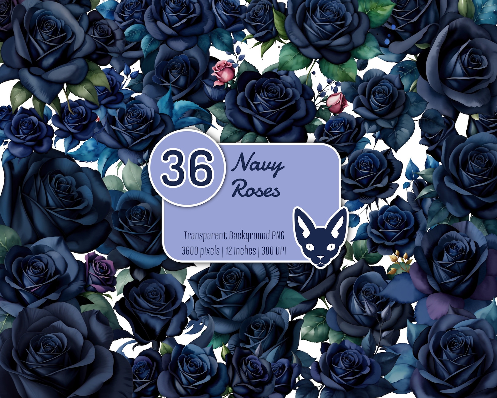 Navy Roses in Watercolor | PNG With Transparent Background | Instant ...