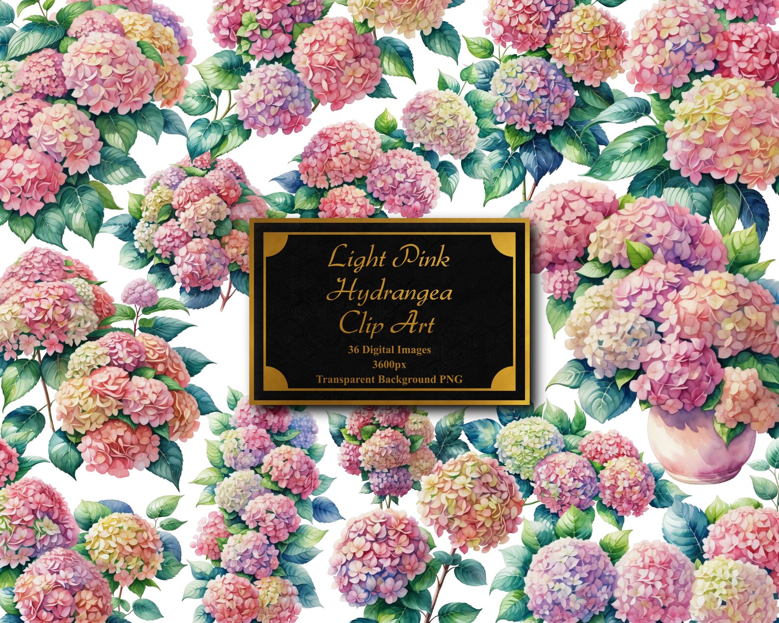 Light Pink Hydrangeas in Watercolor PNG With Transparent - Etsy