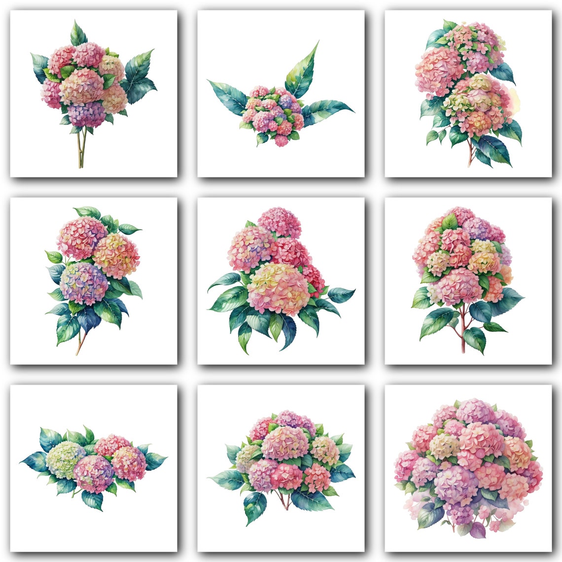 Light Pink Hydrangeas in Watercolor | PNG With Transparent Background ...