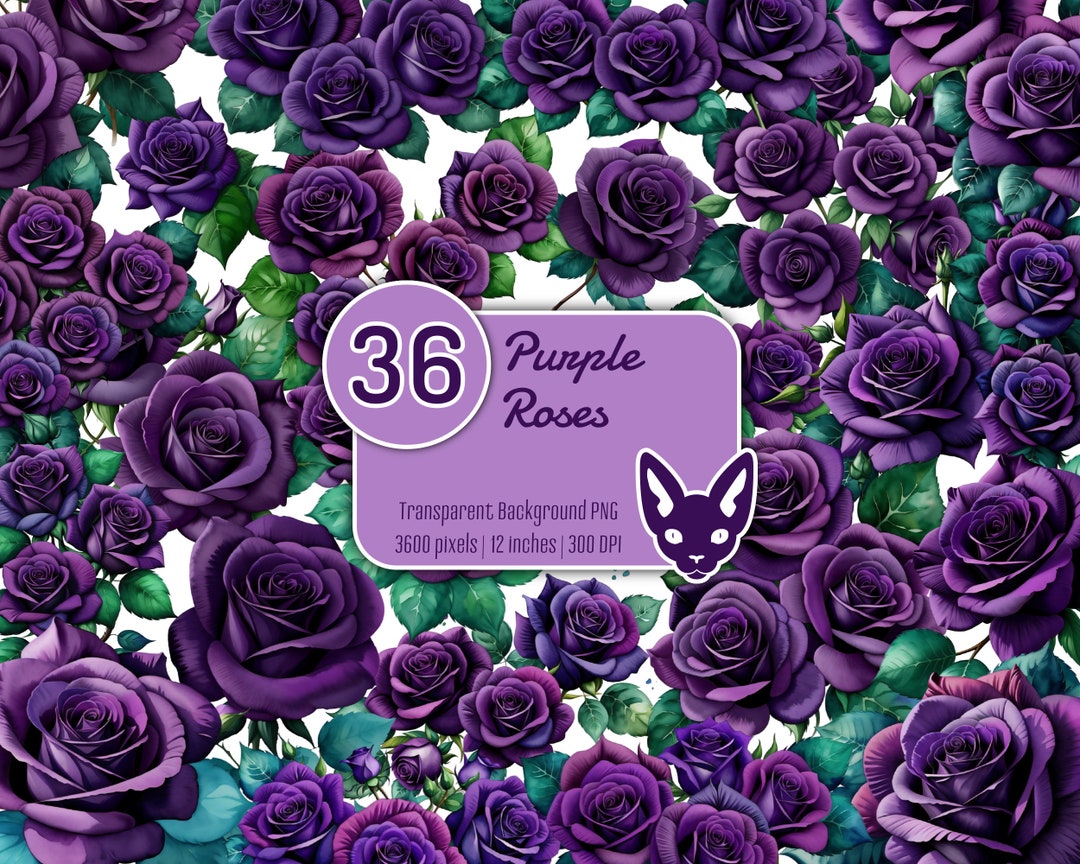Purple Roses in Watercolor | PNG With Transparent Background | Instant ...