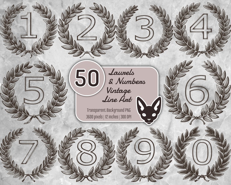 Vintage Laurel Wreath & Number Clipart: 50 PNG Line Art (digital ...