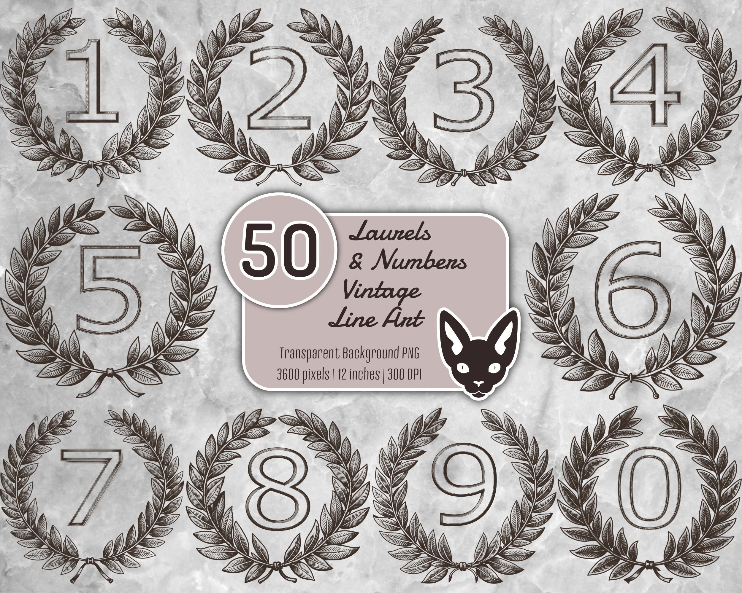 Laurels & Numbers - Vintage Line Art | Set of 50 Pngs With Transparent ...