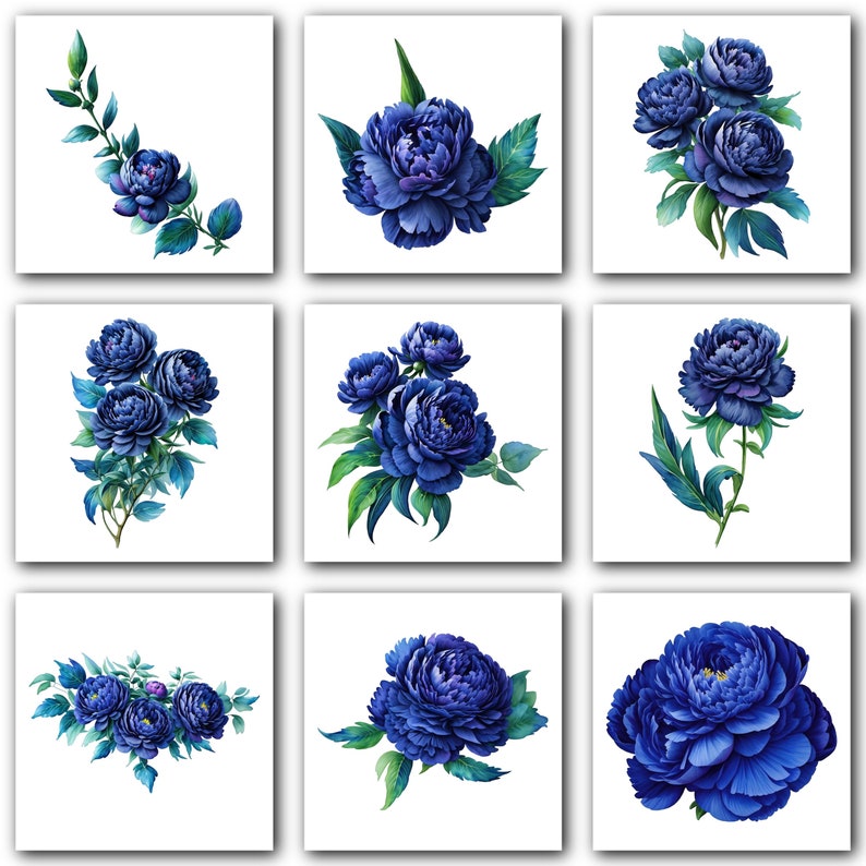 Navy Peonies in Watercolor | PNG With Transparent Background | Instant ...