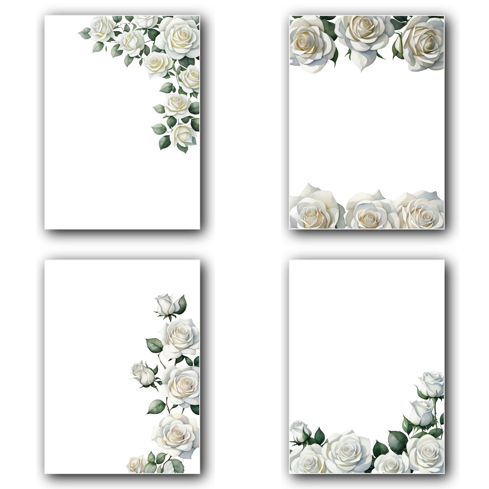 5x7 White Rose Overlays Set 20 Pngs Transparent Background Instant ...