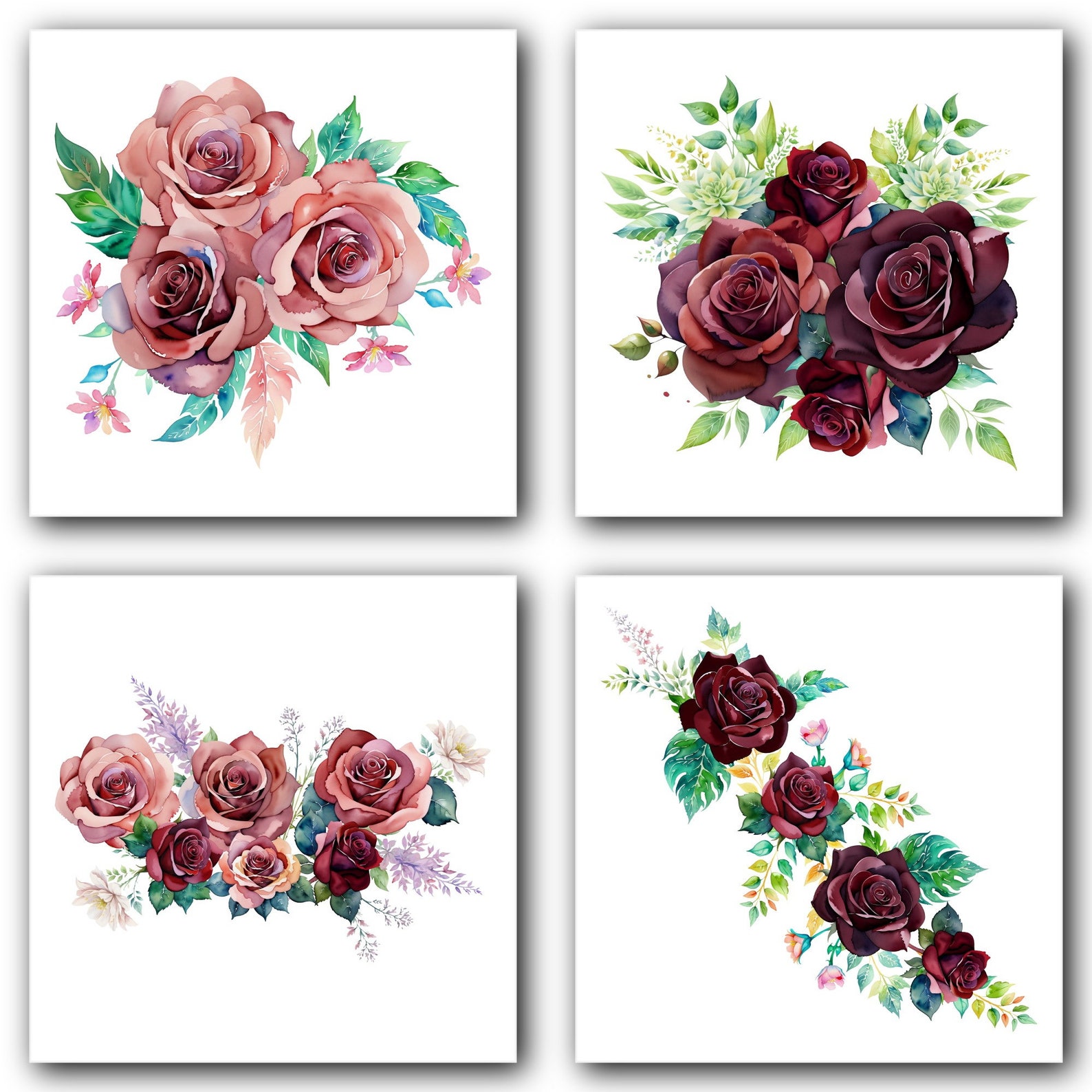 DIY Burgundy Roses in Watercolor | PNG With Transparent Background ...