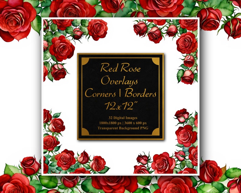 12x12 Red Rose Overlays Set PNG With Transparent Background Instant ...